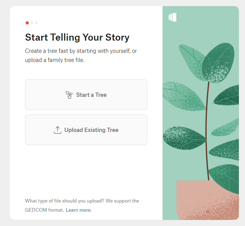 Starting A Family Tree On Storied | Storied